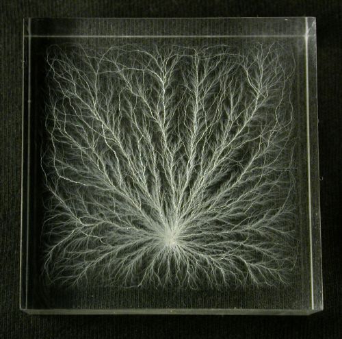 Algorithmic worlds - Blog